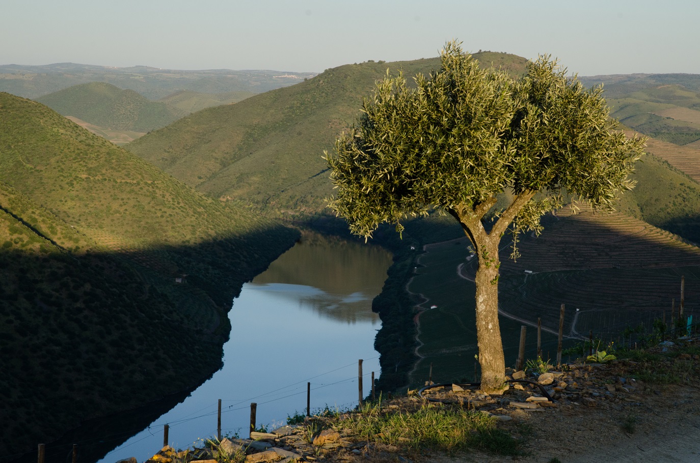 Duorum Vinhos | Douro / Porto | Curry Wines