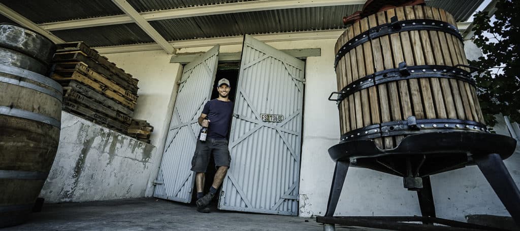 Intellego Wines | Swartland | Curry Wines