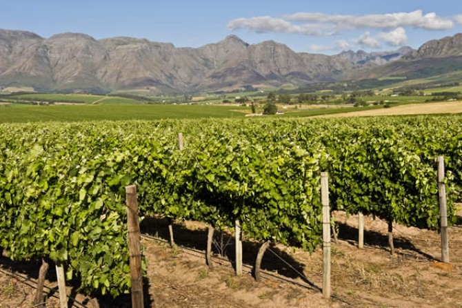 The Winery of Good Hope | Stellenbosch