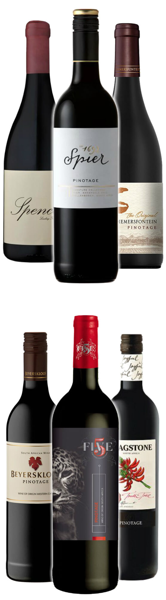 Die Welt des Pinotage Probierpaket | Curry Wines