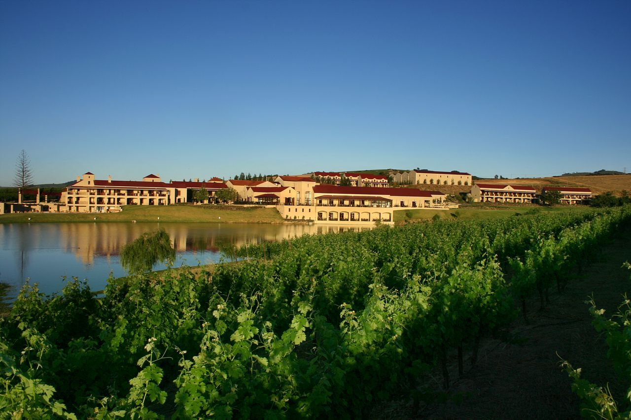 Asara Wine Estate | Stellenbosch | Curry Wines